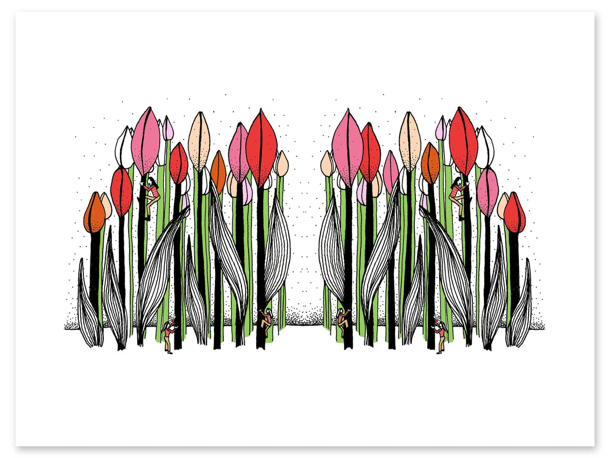 Exploring Giant Tulips Print – Sloe Gin Fizz